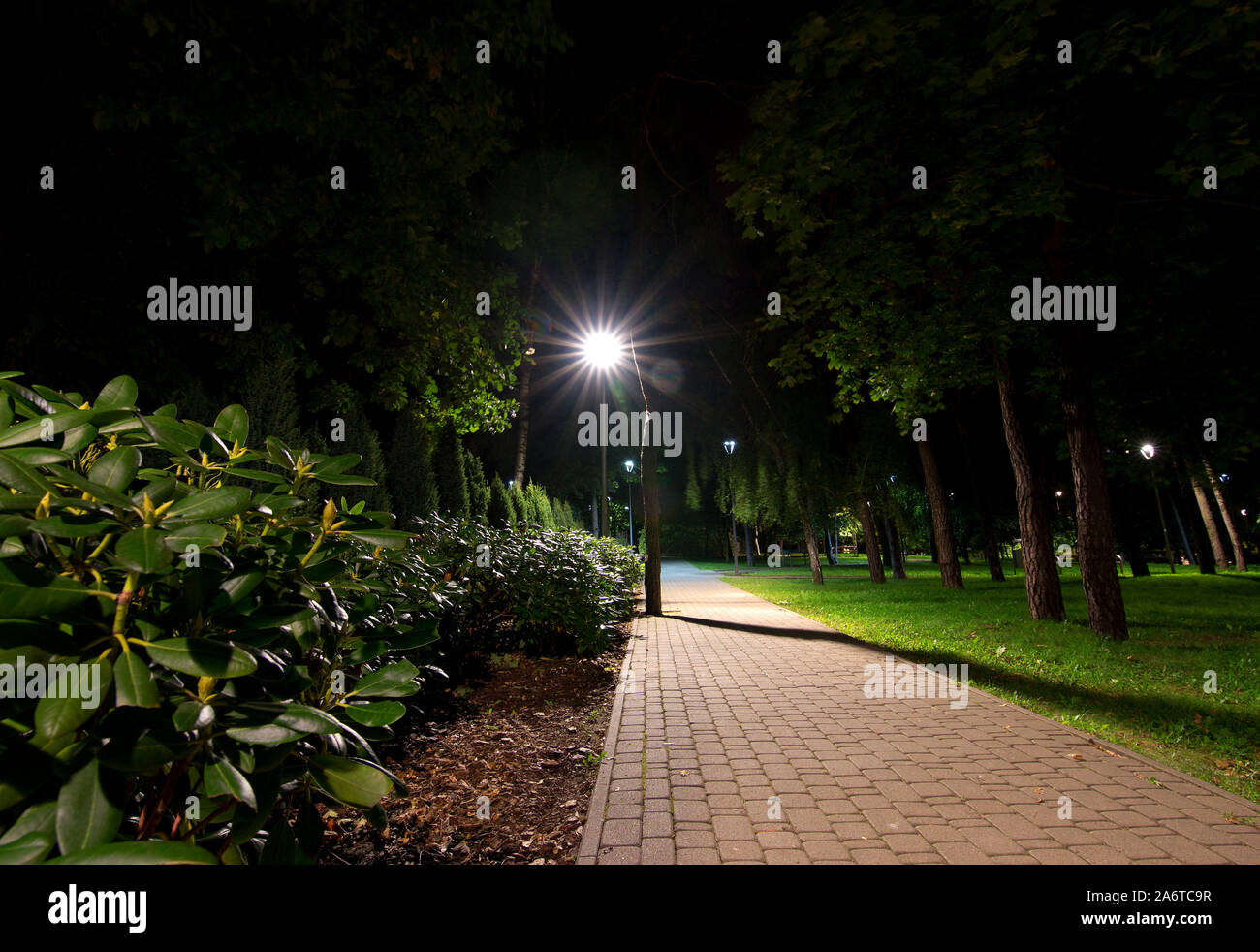 path in the park at night, Poland Stock Photo - Alamy