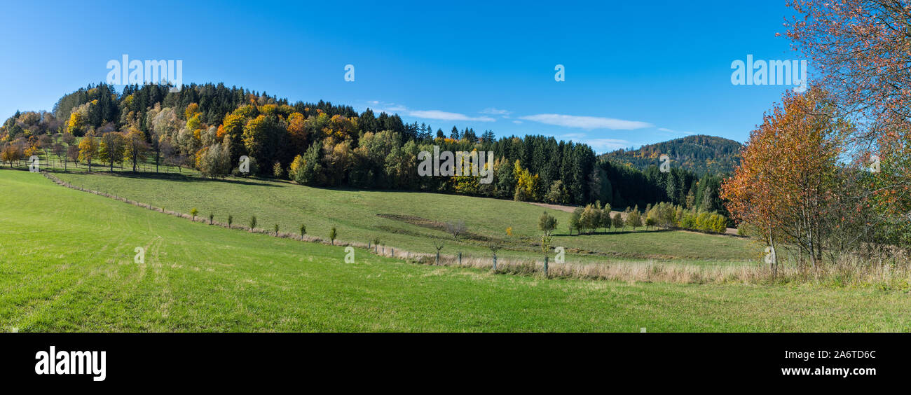 Panoramic autumn scenery. Green meadow with line of small young trees ...