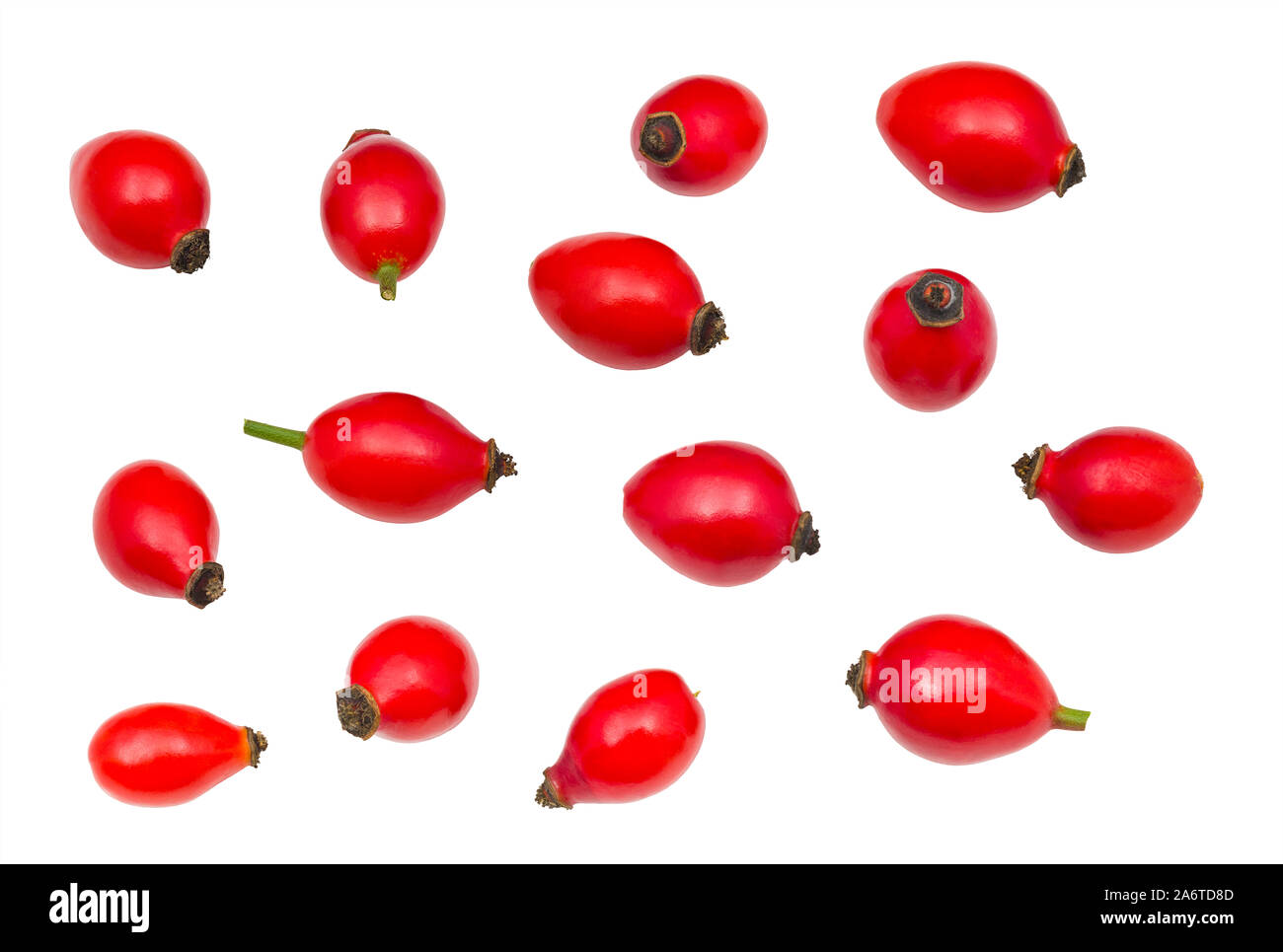 Red rose hips collection isolated on a white background. Fructus ...