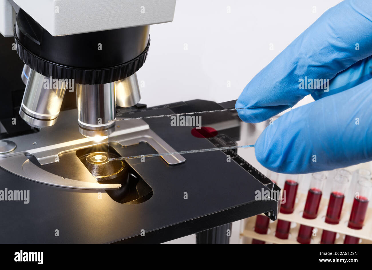 Laboratory specimen hi-res stock photography and images - Alamy