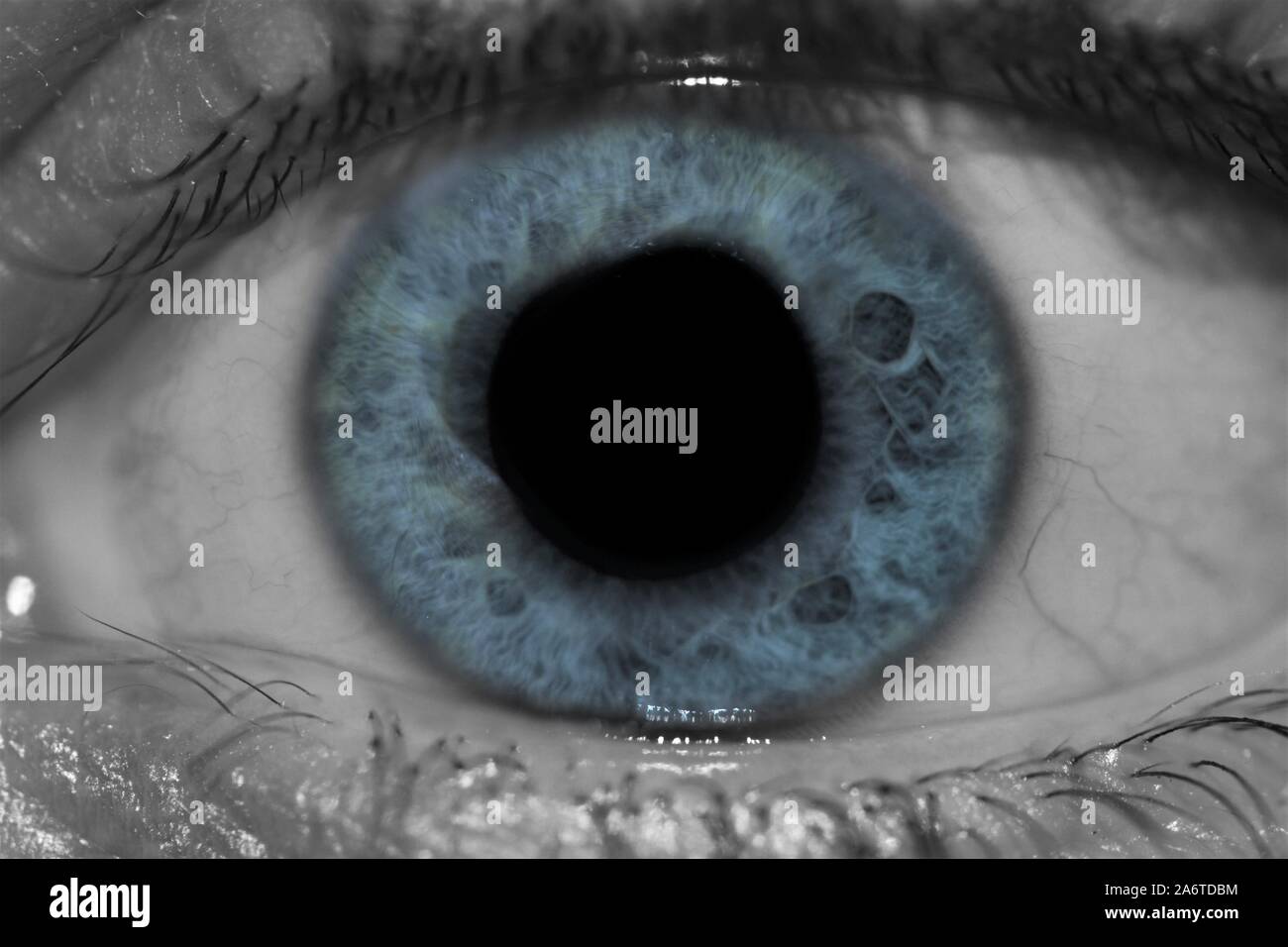 Mon ocular hi-res stock photography and images - Alamy
