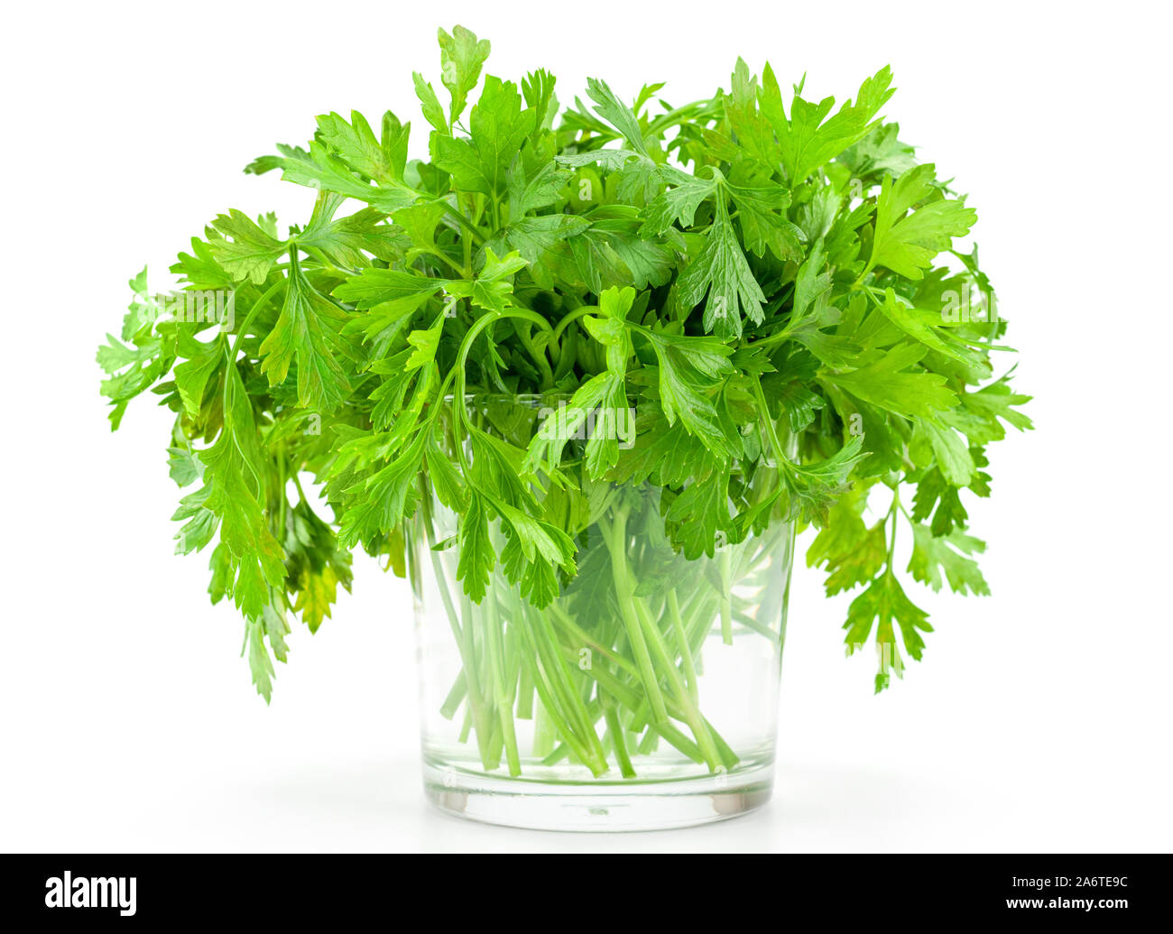 Parsley on white background Stock Photo - Alamy