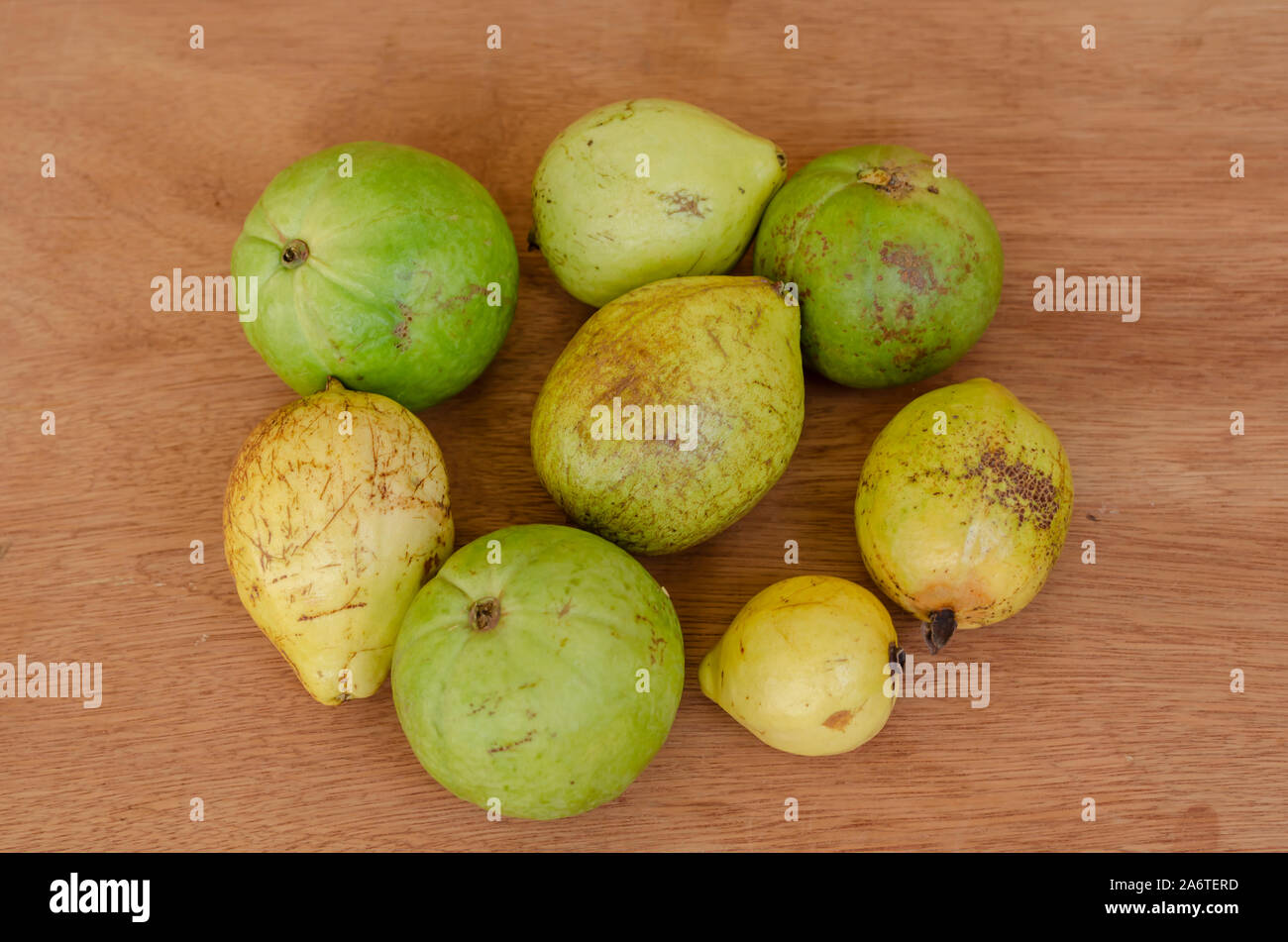 Mature guava fruit hi-res stock photography and images - Alamy