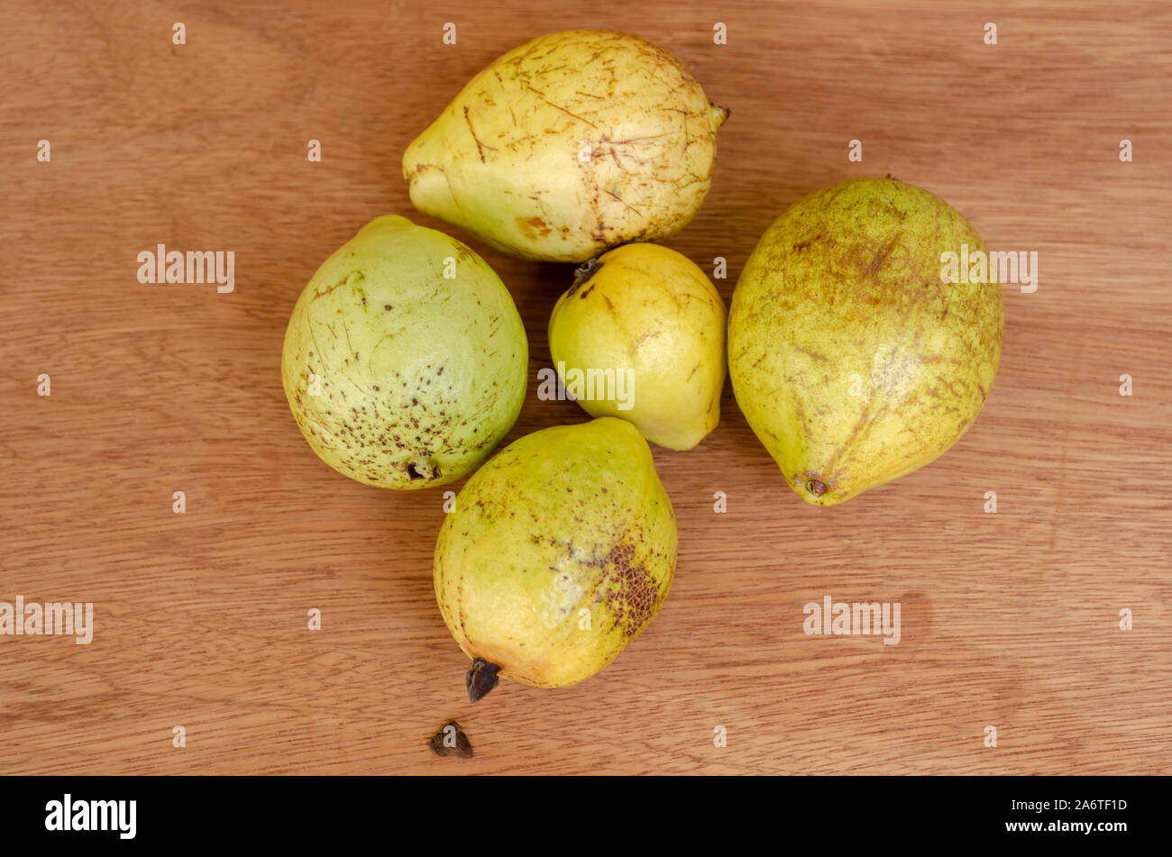 Guavas High Resolution Stock Photography and Images - Alamy