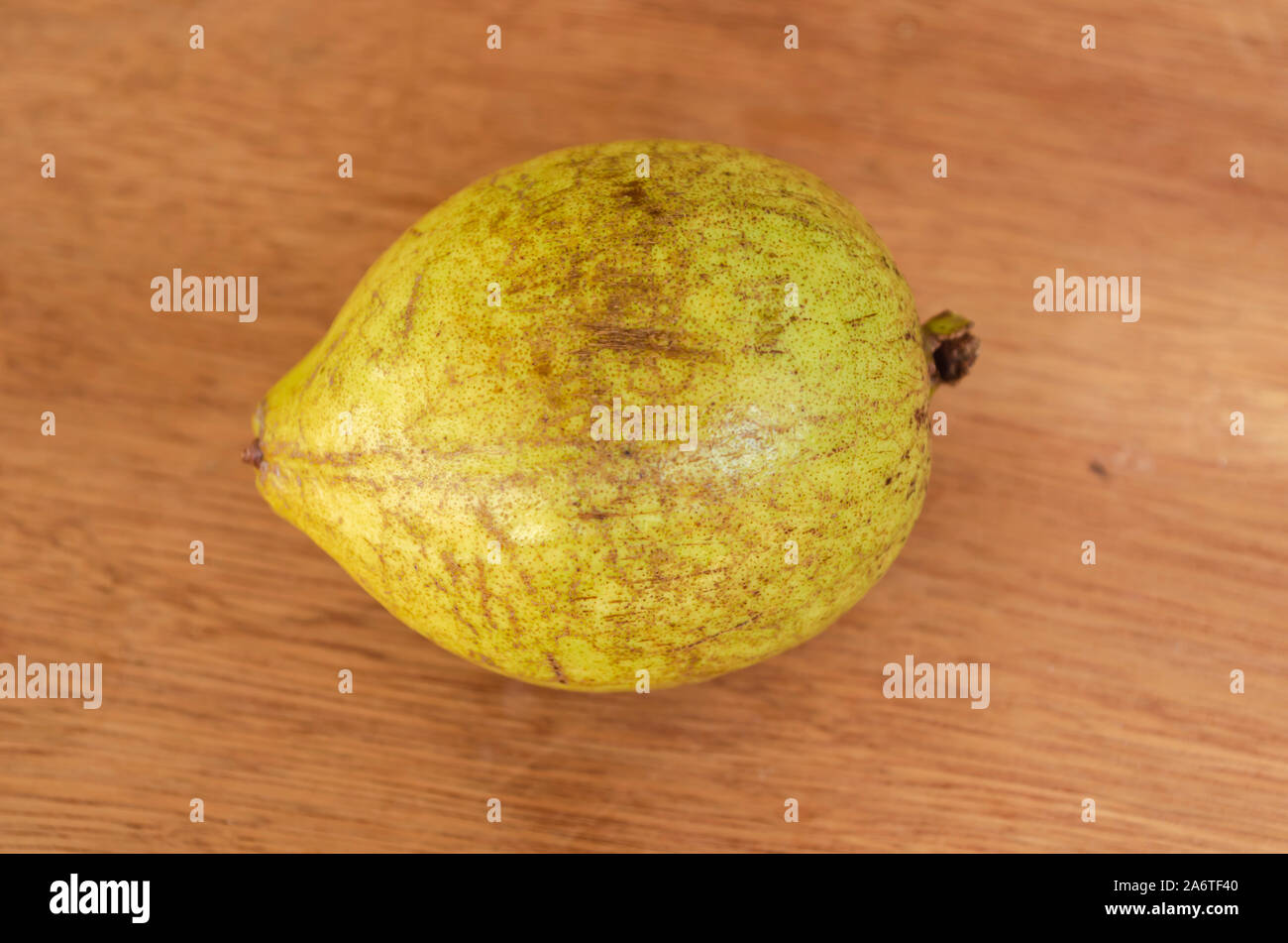 Mature guava fruit hi-res stock photography and images - Alamy