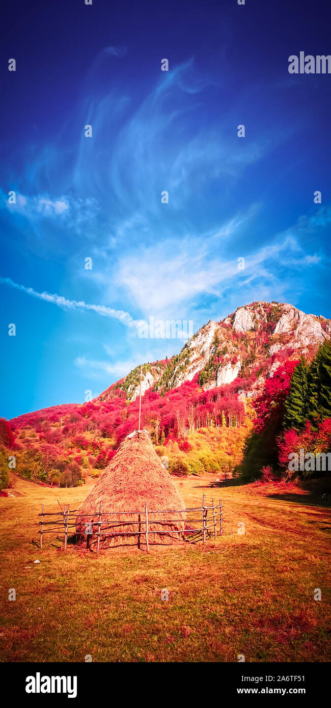 Autumn in Leaota, Carpathian Mountains, Romania. Vivid fall colors in ...