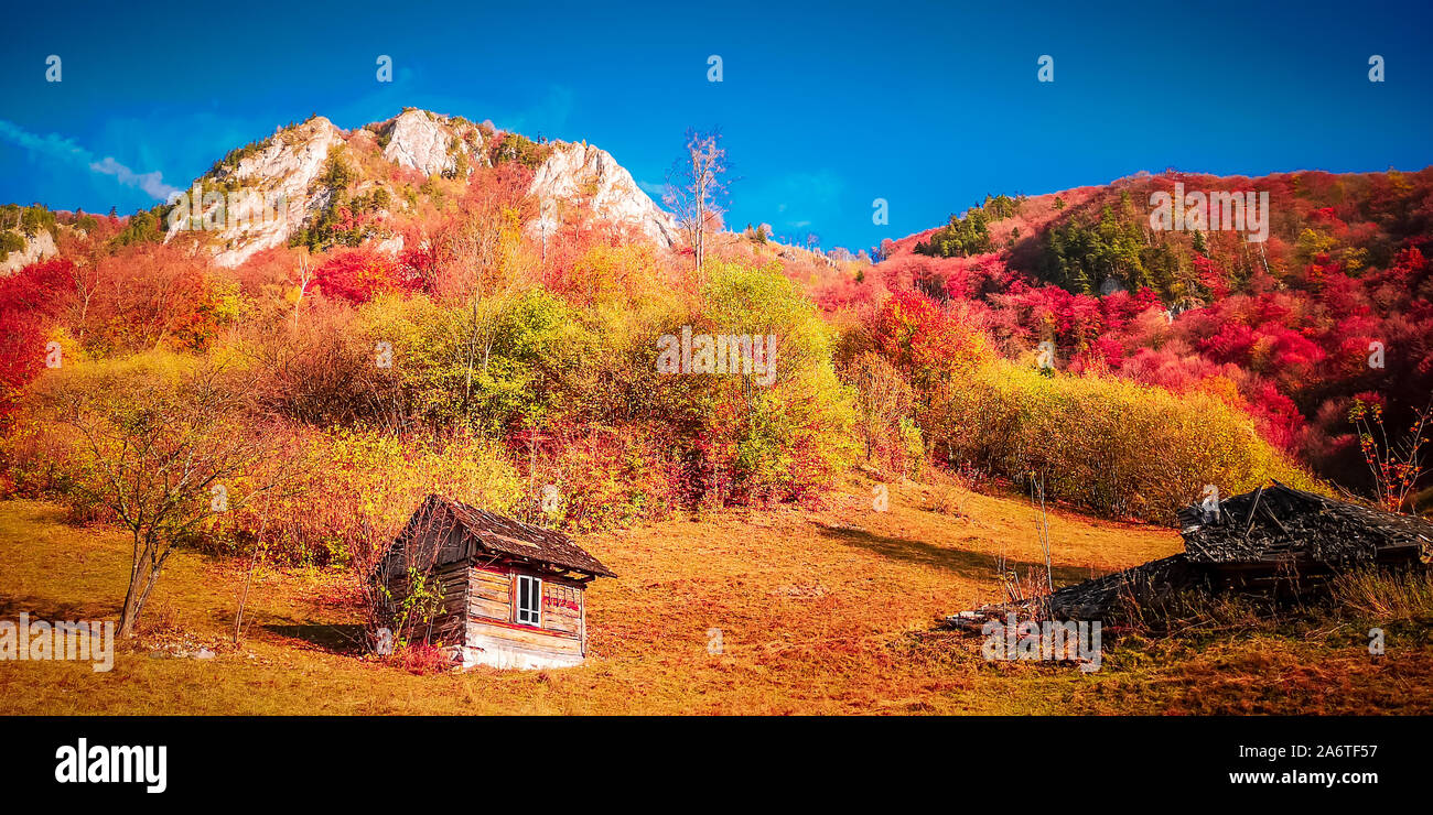 Autumn in Leaota, Carpathian Mountains, Romania. Vivid fall colors in ...