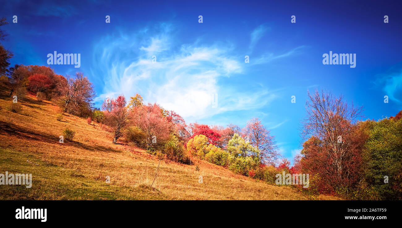 Autumn in Leaota, Carpathian Mountains, Romania. Vivid fall colors in ...