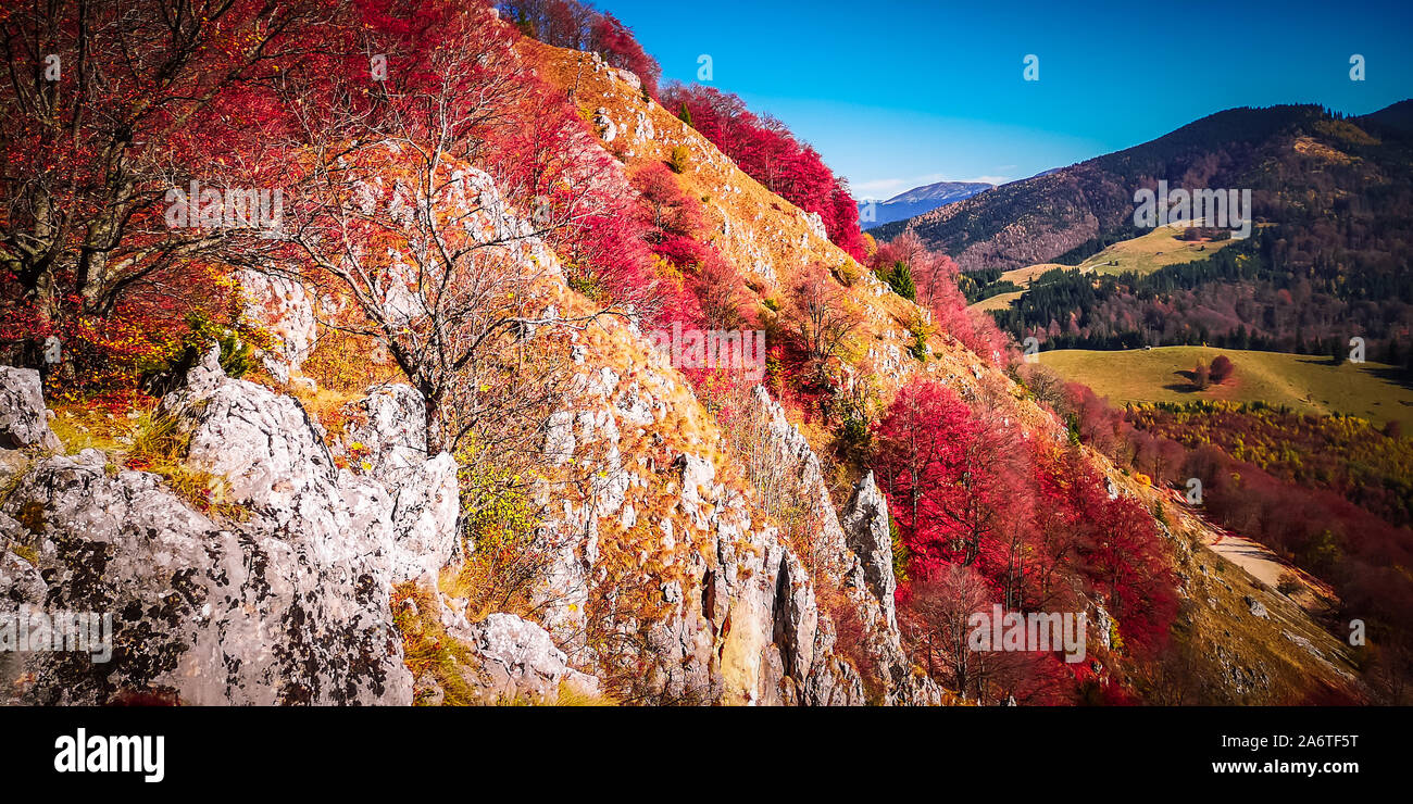 Autumn in Leaota, Carpathian Mountains, Romania. Vivid fall colors in ...