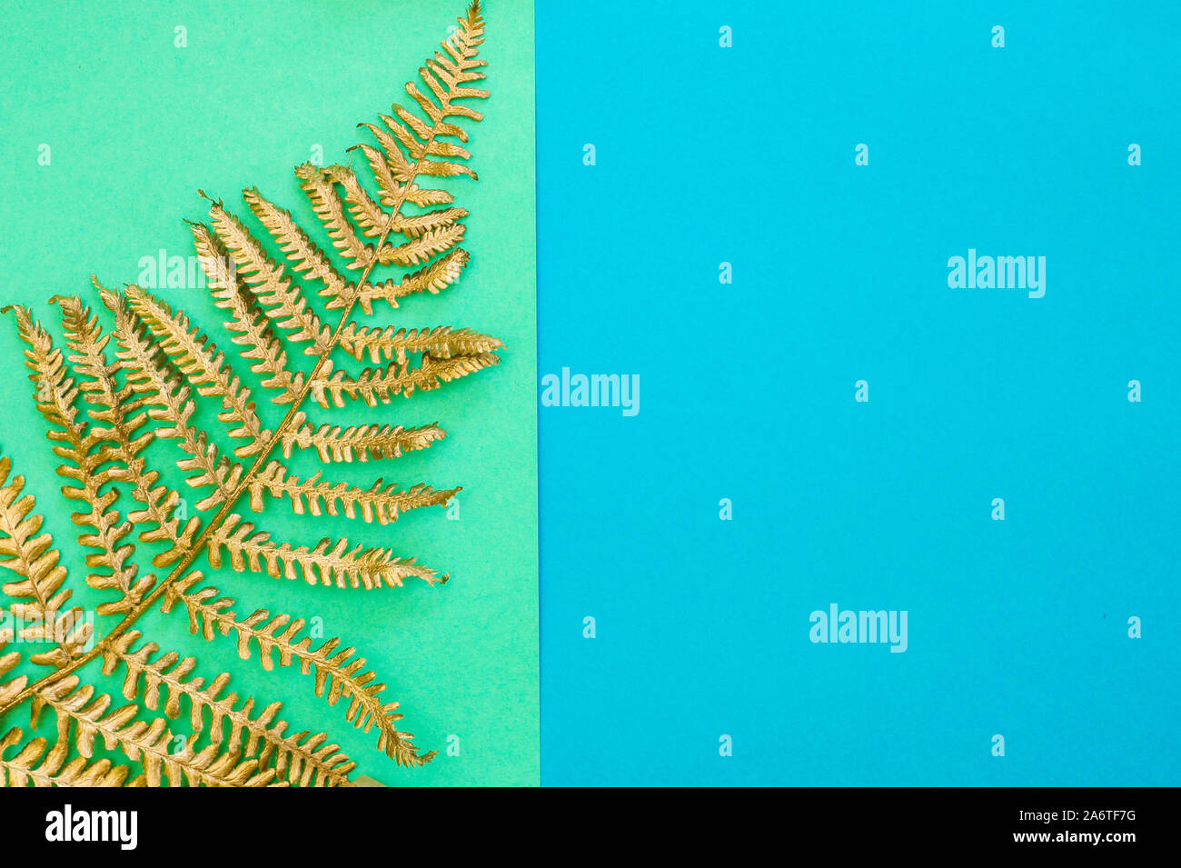Leaf of golden trendy fern against multicolor blue and green background ...