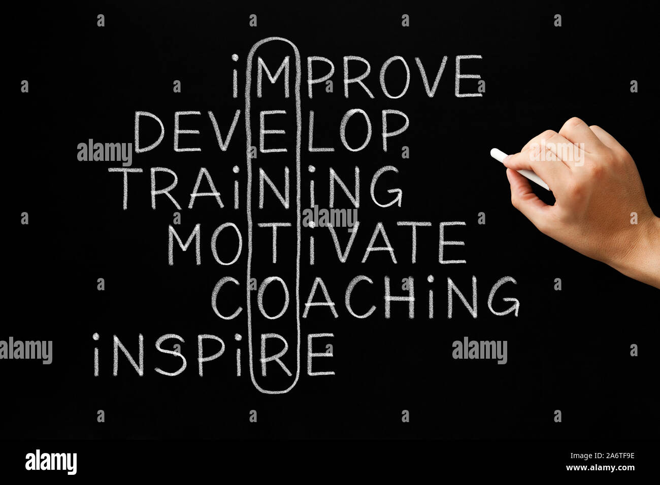 Training And Development Quotes