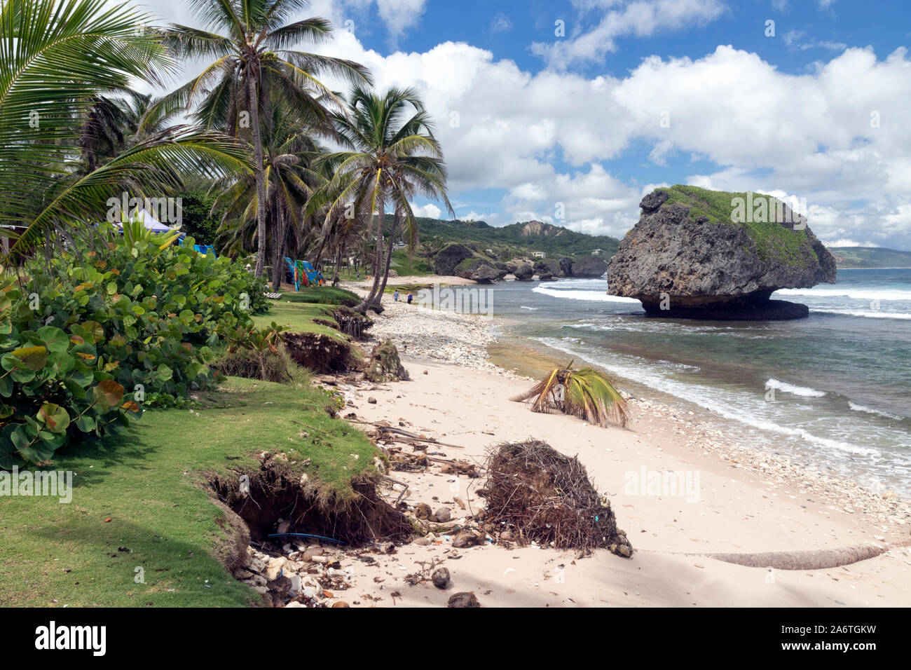 Rock formation on Bathsheba beach on the south-east coast of Barbados ...