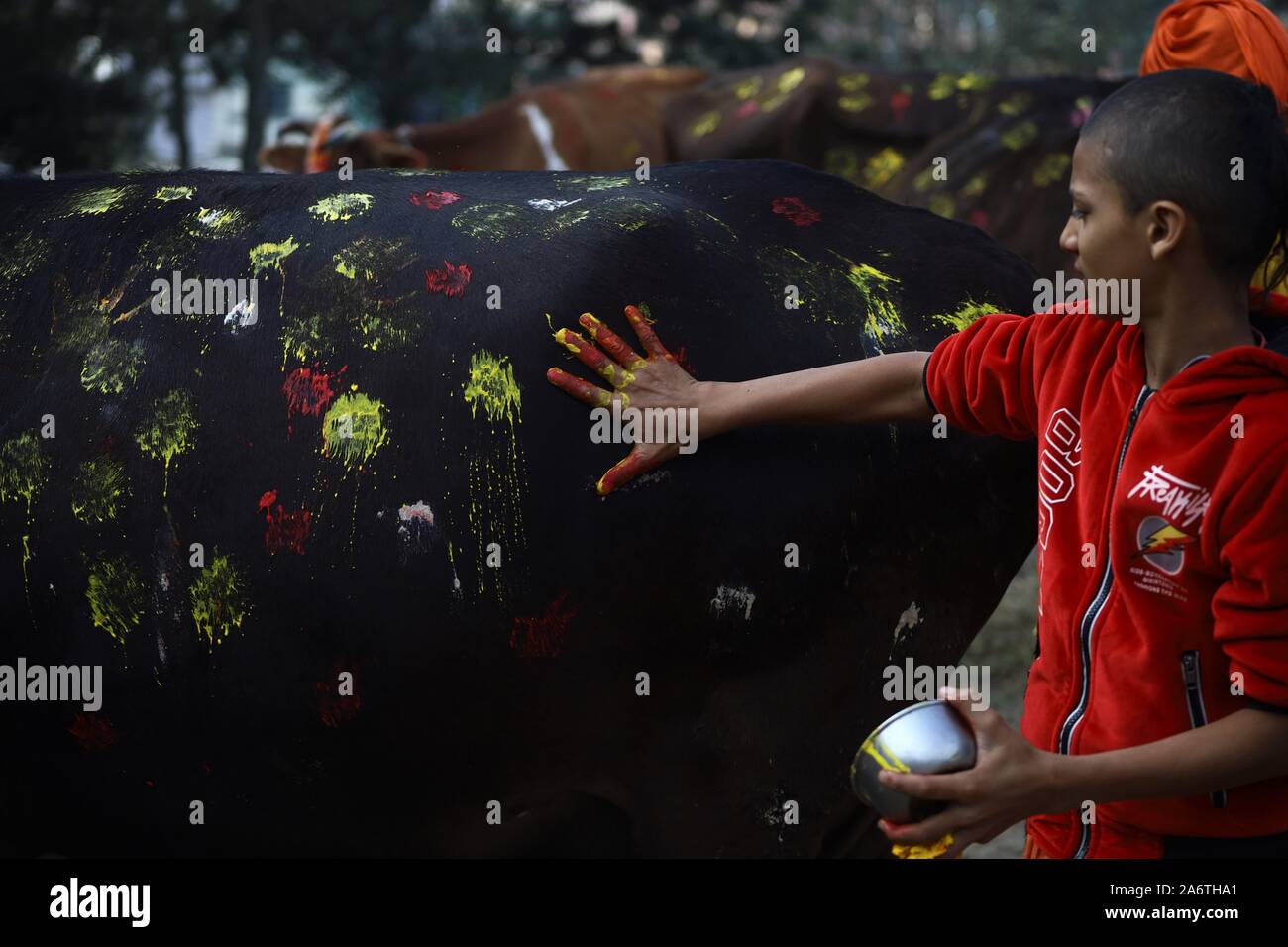 Kathmandu, Nepal. 28th Oct, 2019. A young Nepalese hindu priest worship ...