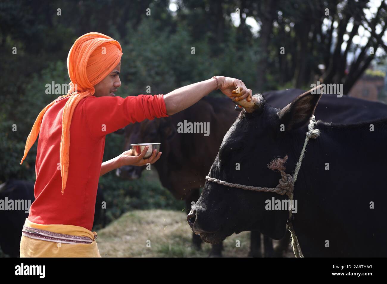 Kathmandu, Nepal. 28th Oct, 2019. A young Nepalese hindu priest worship ...