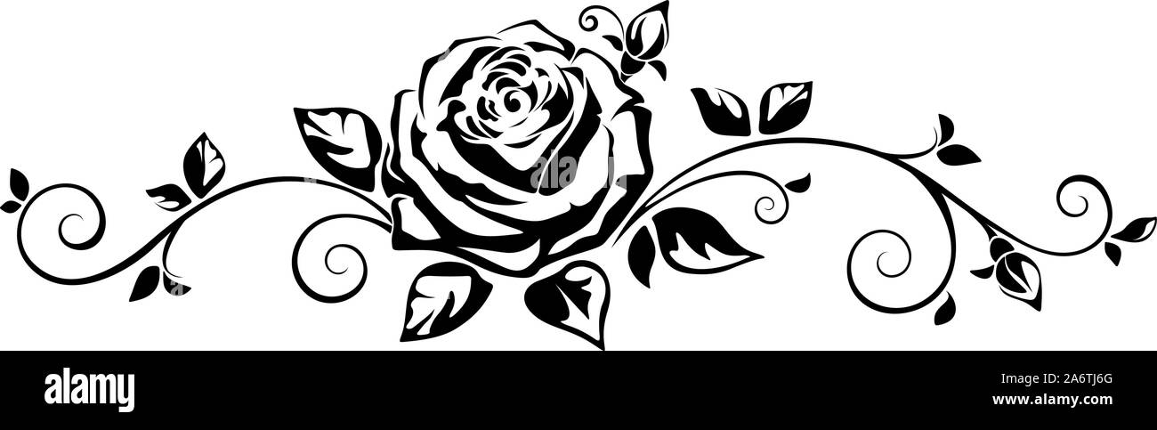 Vector horizontal black and white vignette with a rose Stock Vector ...