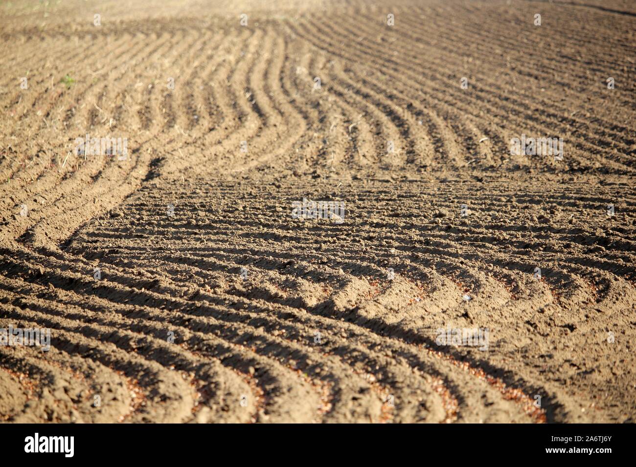 Plowed field of farmland closeup background. Rural scene. Agriculture ...