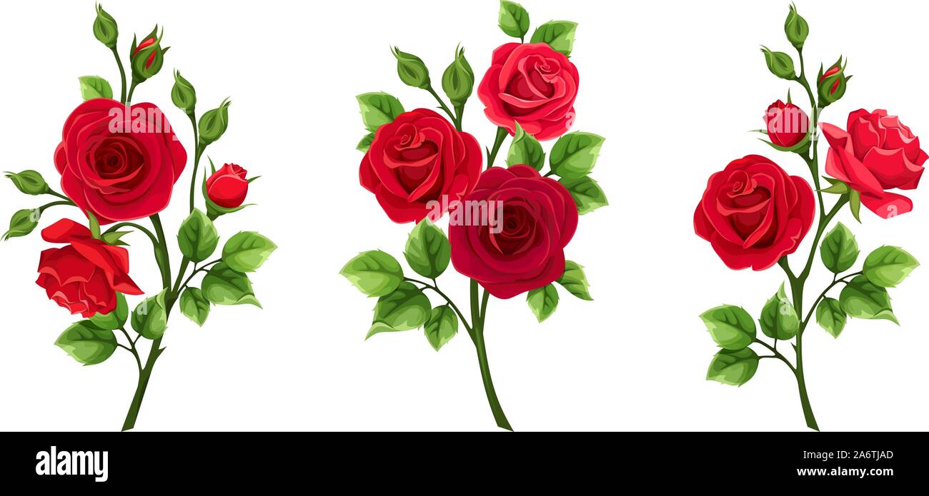 Vector set of branches of red roses isolated on a white background ...