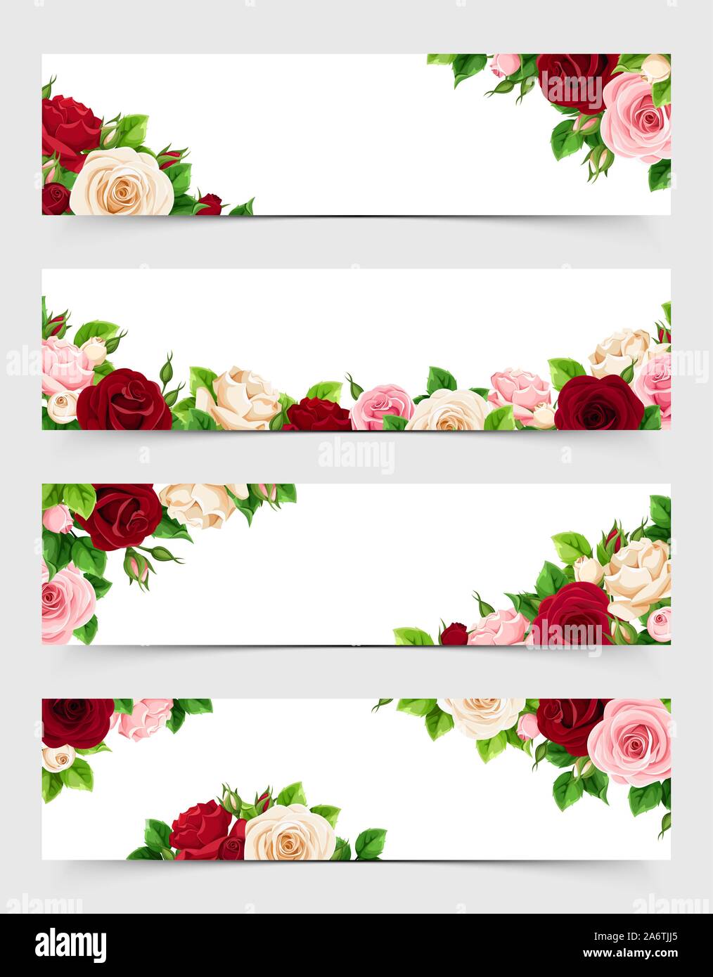 Set of vector web banners with pink, burgundy and white roses Stock ...