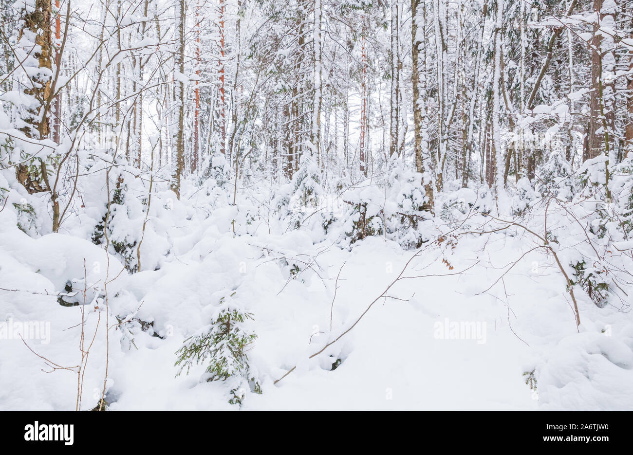 Cold and icy landscape outdoor climate hi-res stock photography and ...