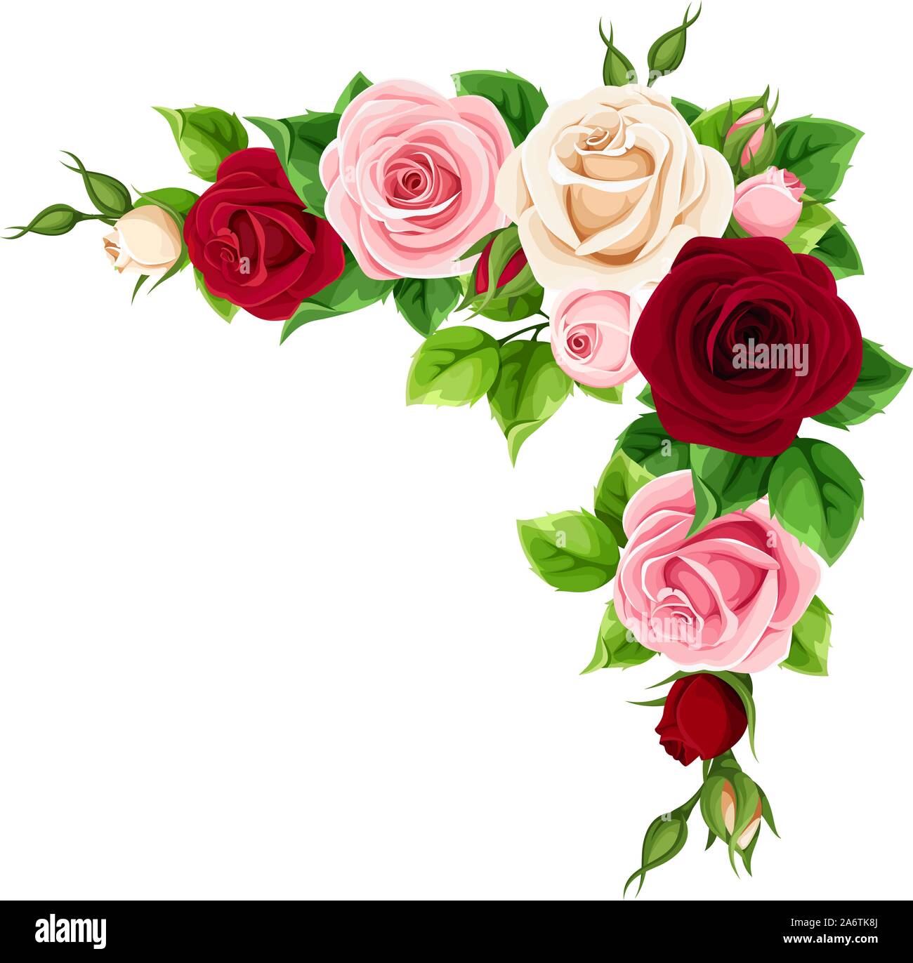 Vector corner background with red, burgundy, pink and white roses Stock ...