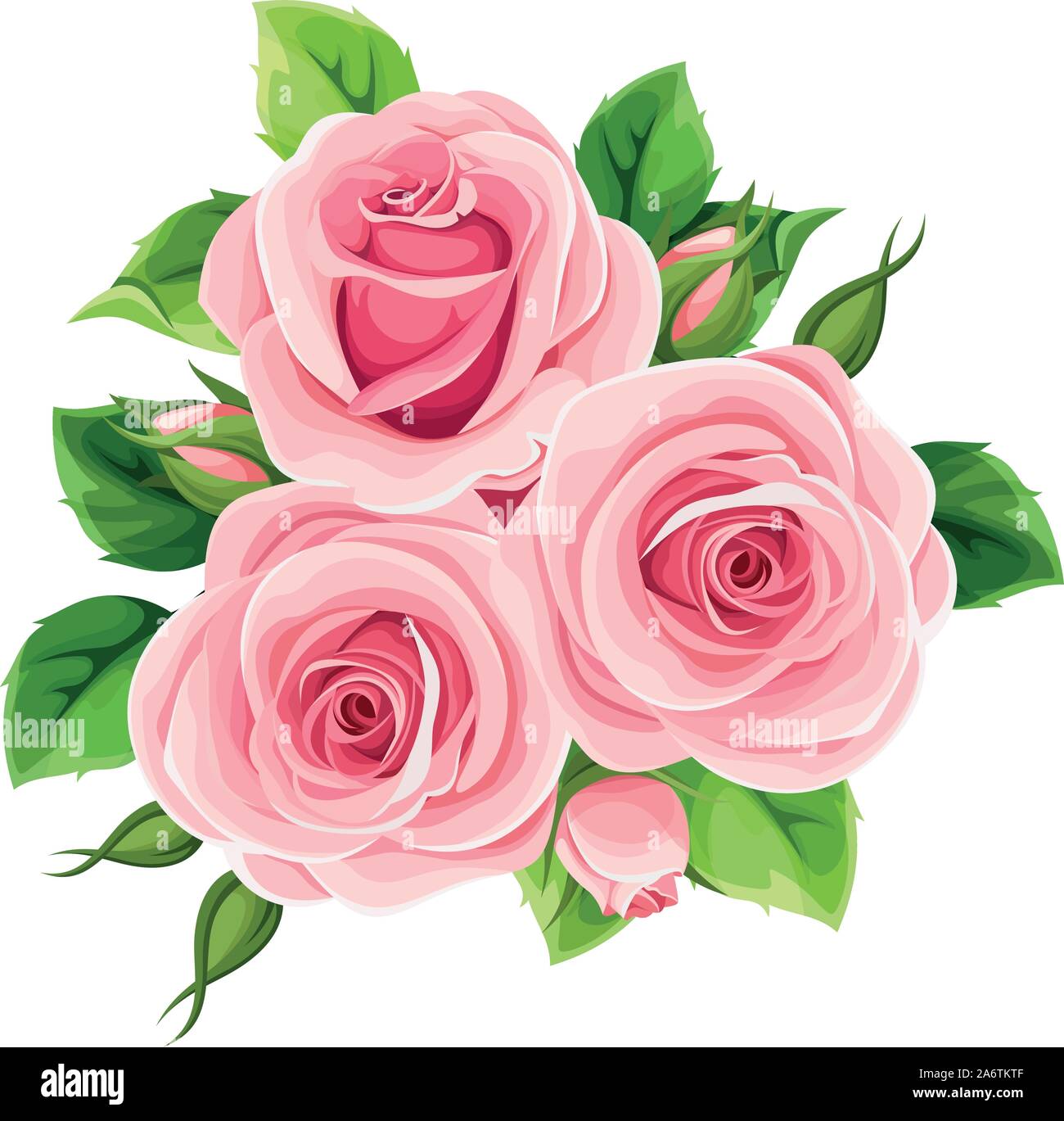 Vector pink roses isolated on a white background Stock Vector Image ...