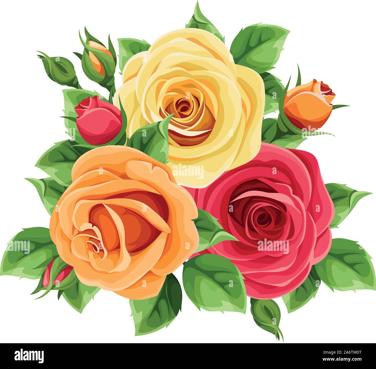 Vector red, orange and yellow roses isolated on a white background ...