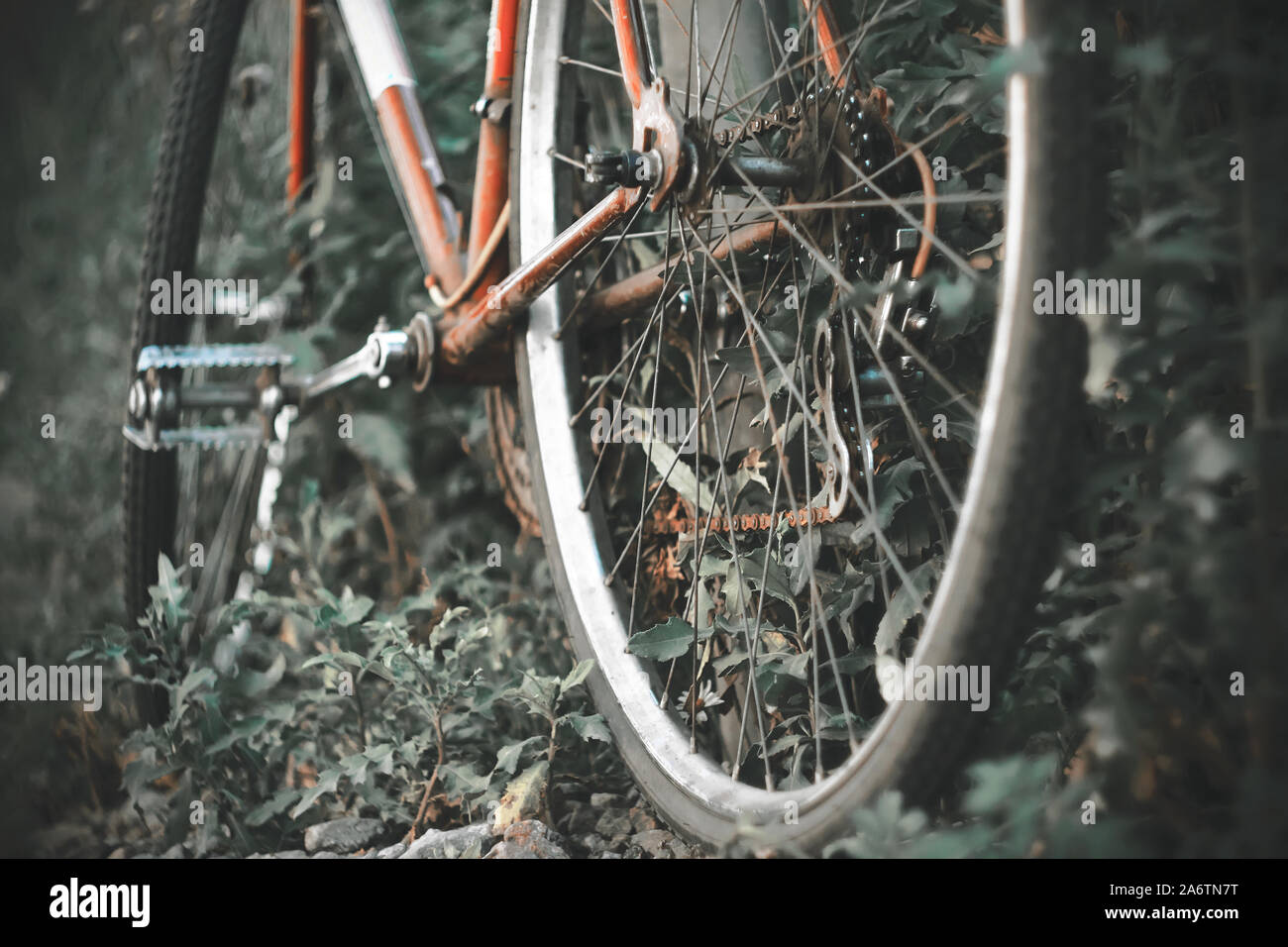 Black white image red bicycle hi-res stock photography and images - Alamy