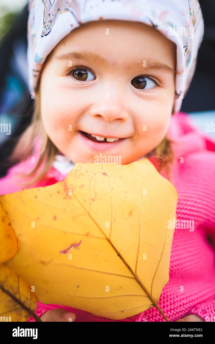 Big yellow leaf hi-res stock photography and images - Alamy