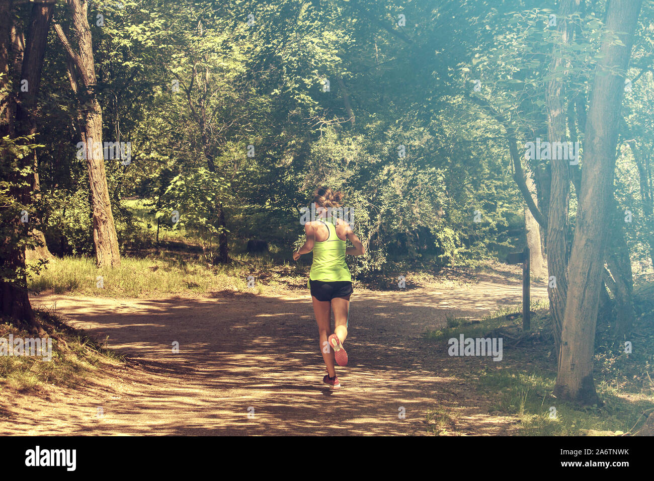 jogging woman running on a path, training in the nature Stock Photo - Alamy