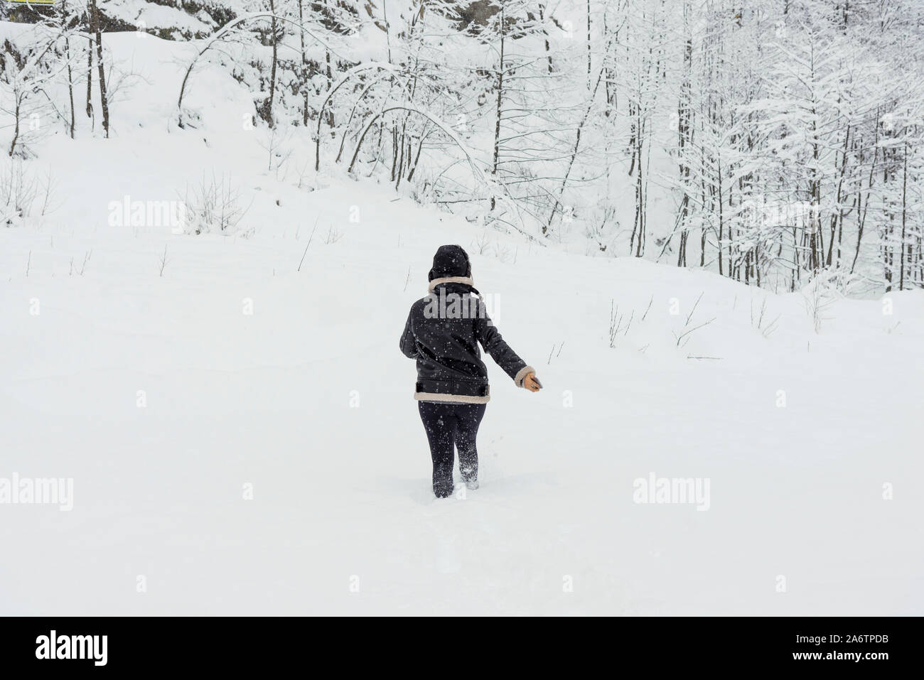 Line of people walking in snow hi-res stock photography and images - Alamy
