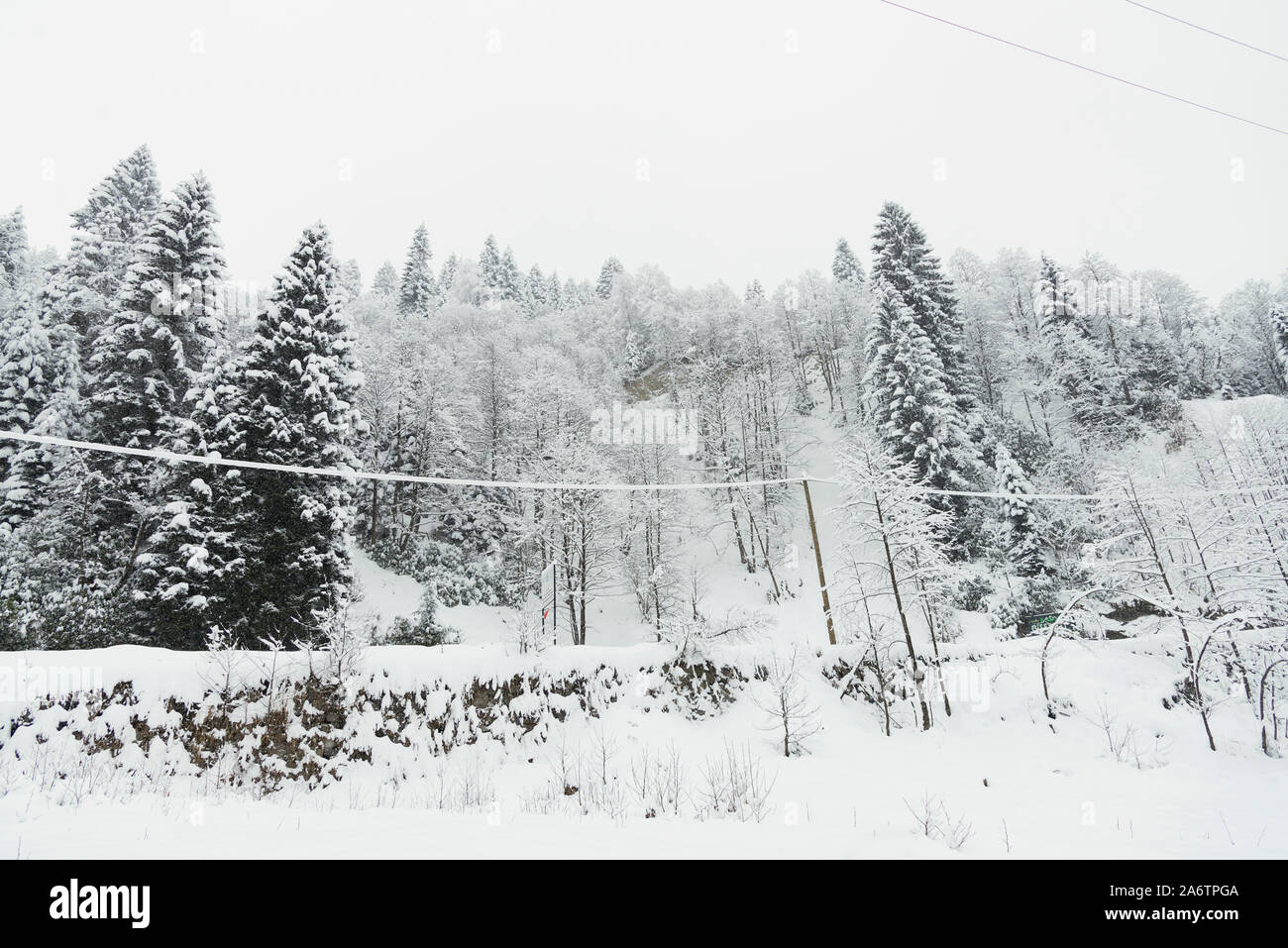 Landscape view of snowy hills with pine trees Stock Photo - Alamy