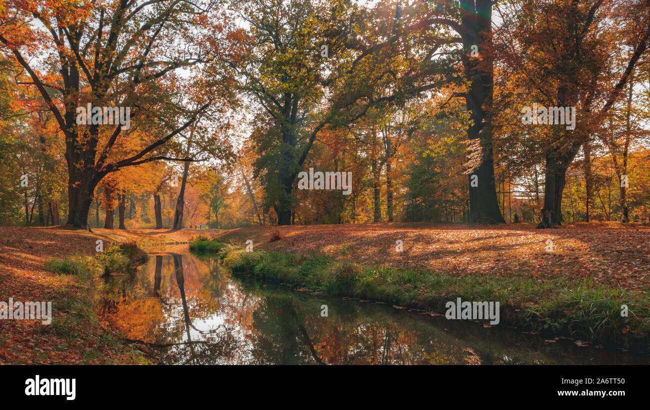 Beautiful autumn landscape with pleasant warm sunny light. Picture ...