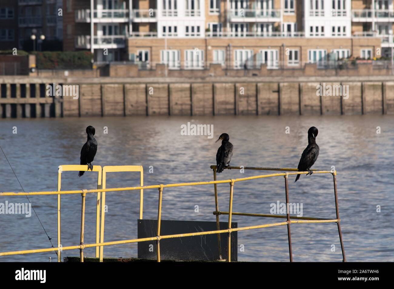 Derelict jetty river thames hi-res stock photography and images - Alamy