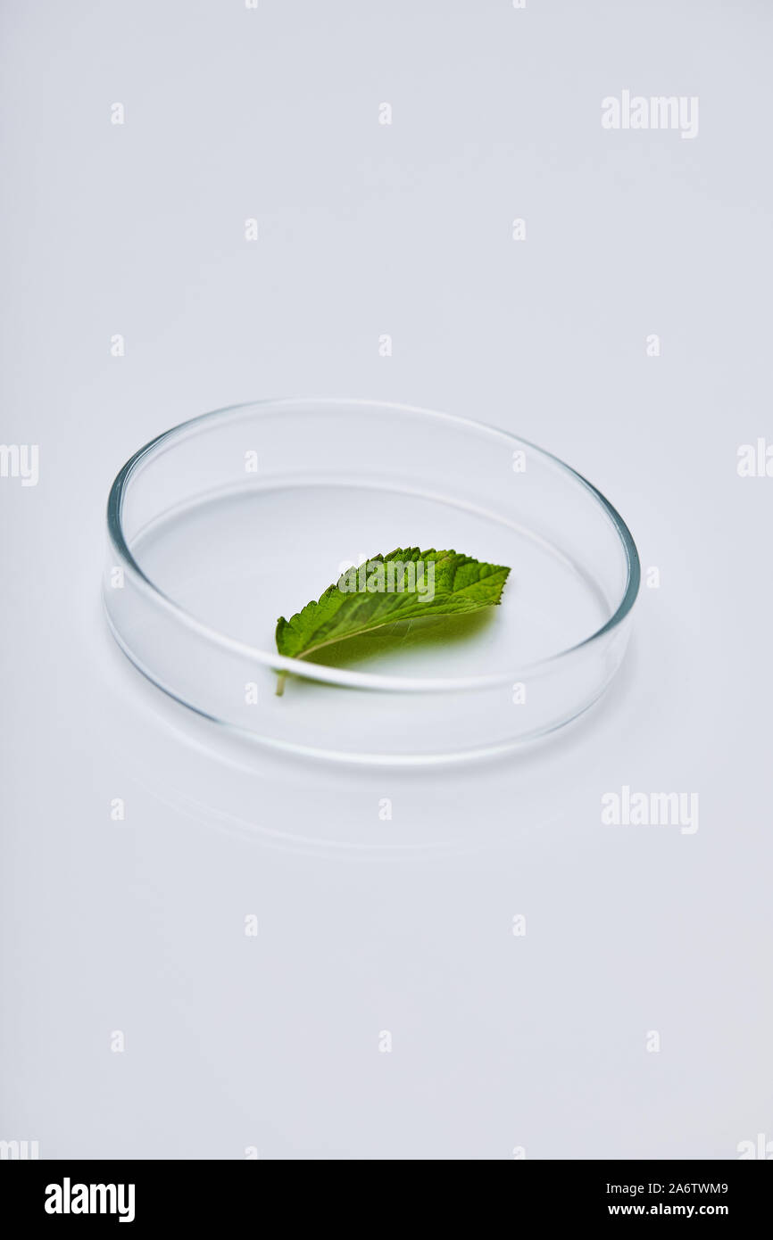 Test glass hi-res stock photography and images - Alamy