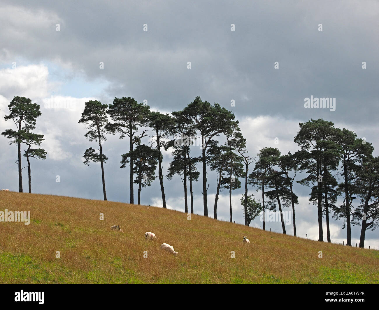 Irregular skyline hi-res stock photography and images - Alamy