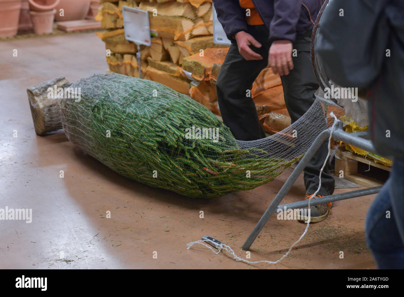 Christmas tree wrapped in net hi-res stock photography and images - Alamy