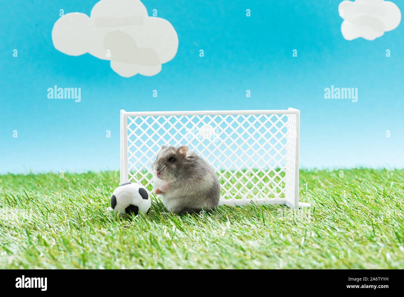 Funny Gates High Resolution Stock Photography and Images - Alamy