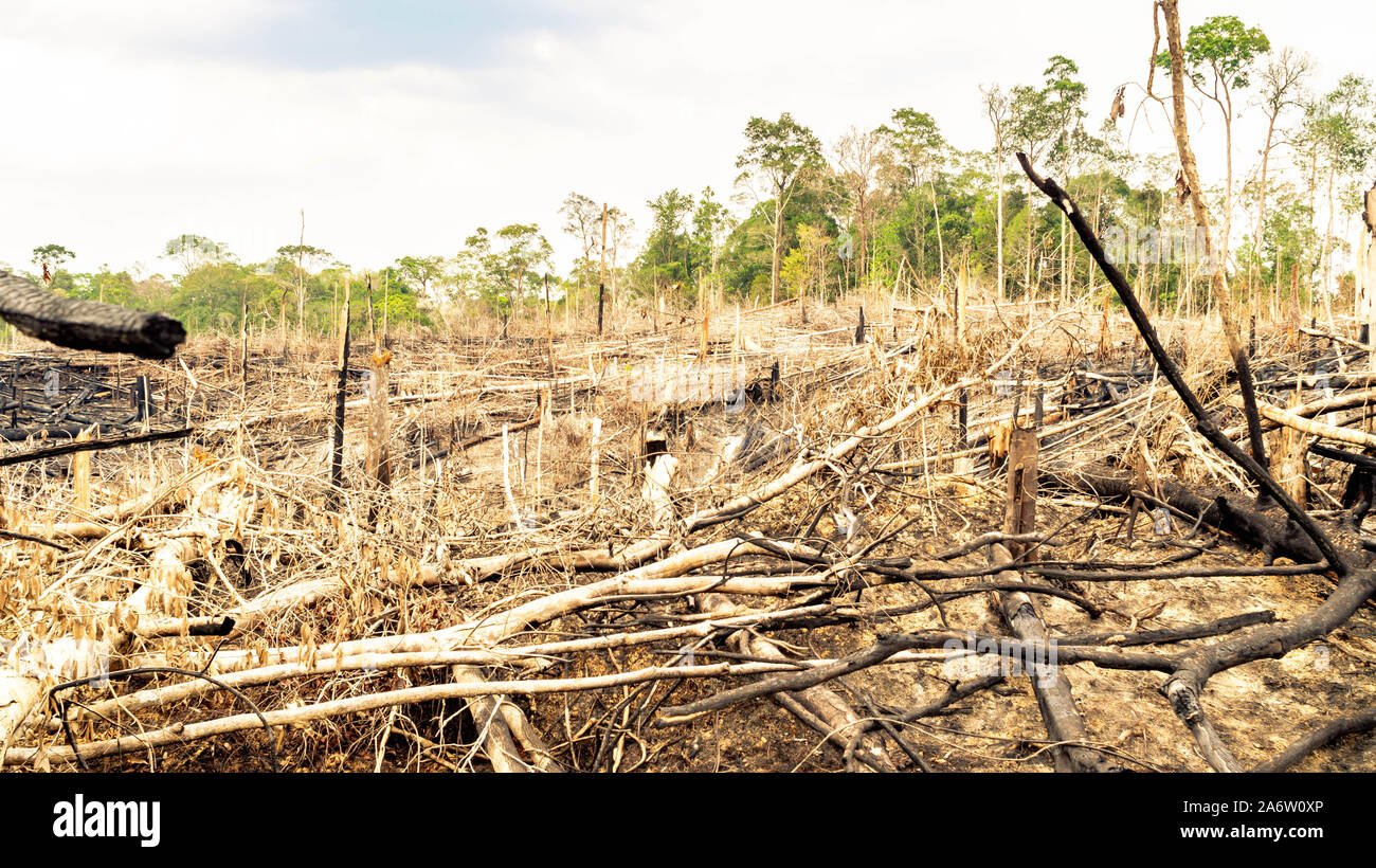 El nino drought indonesia hi-res stock photography and images - Alamy