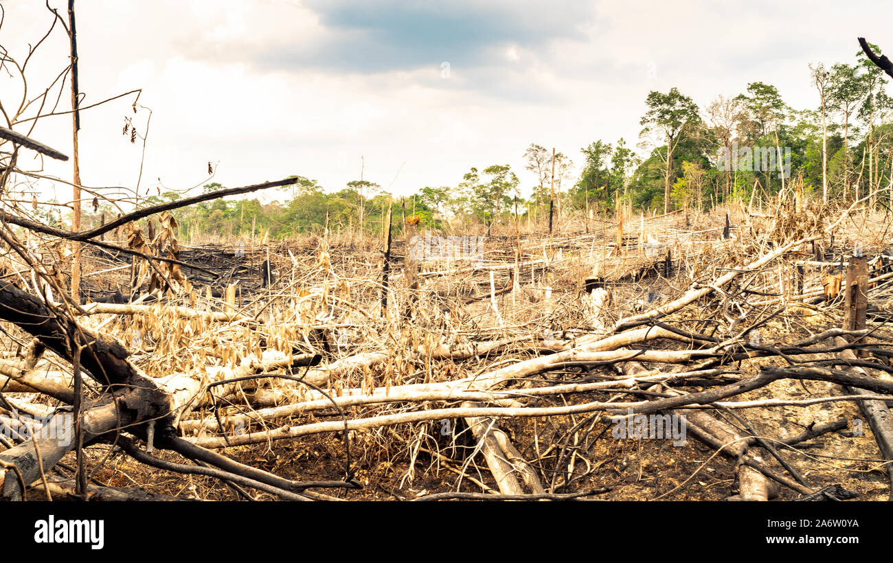 El nino drought indonesia hi-res stock photography and images - Alamy