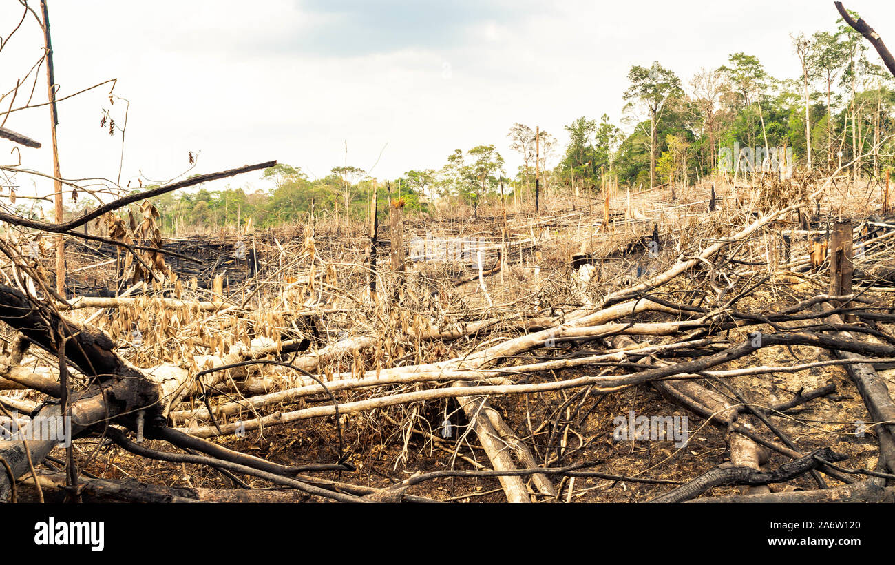 El nino drought indonesia hi-res stock photography and images - Alamy