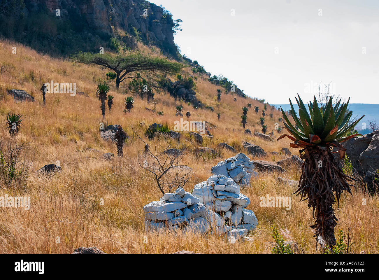 The site of the Battle of Isandlwana between the British Army and Zulus ...