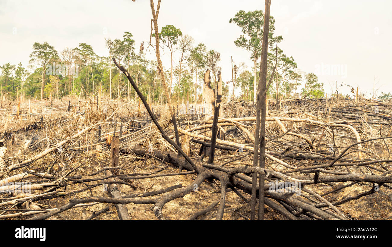 El nino drought indonesia hi-res stock photography and images - Alamy
