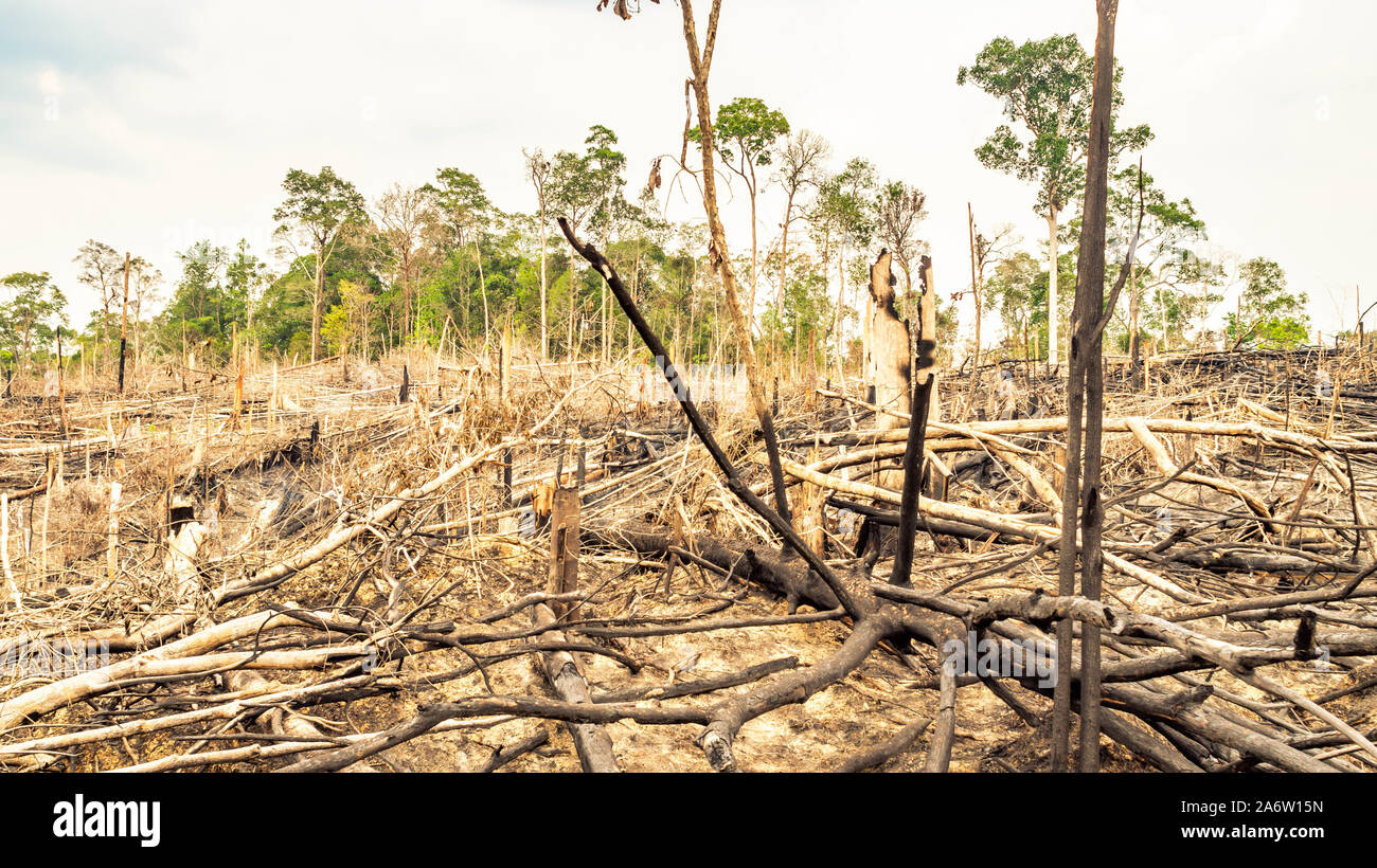El nino drought indonesia hi-res stock photography and images - Alamy