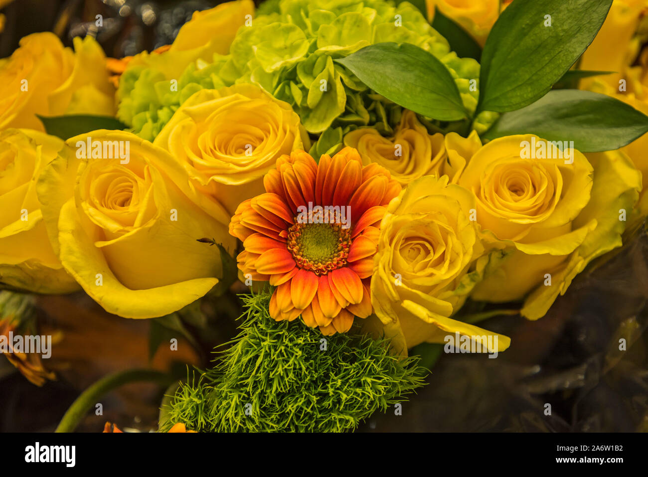 Yellow flower varieties hi-res stock photography and images - Alamy