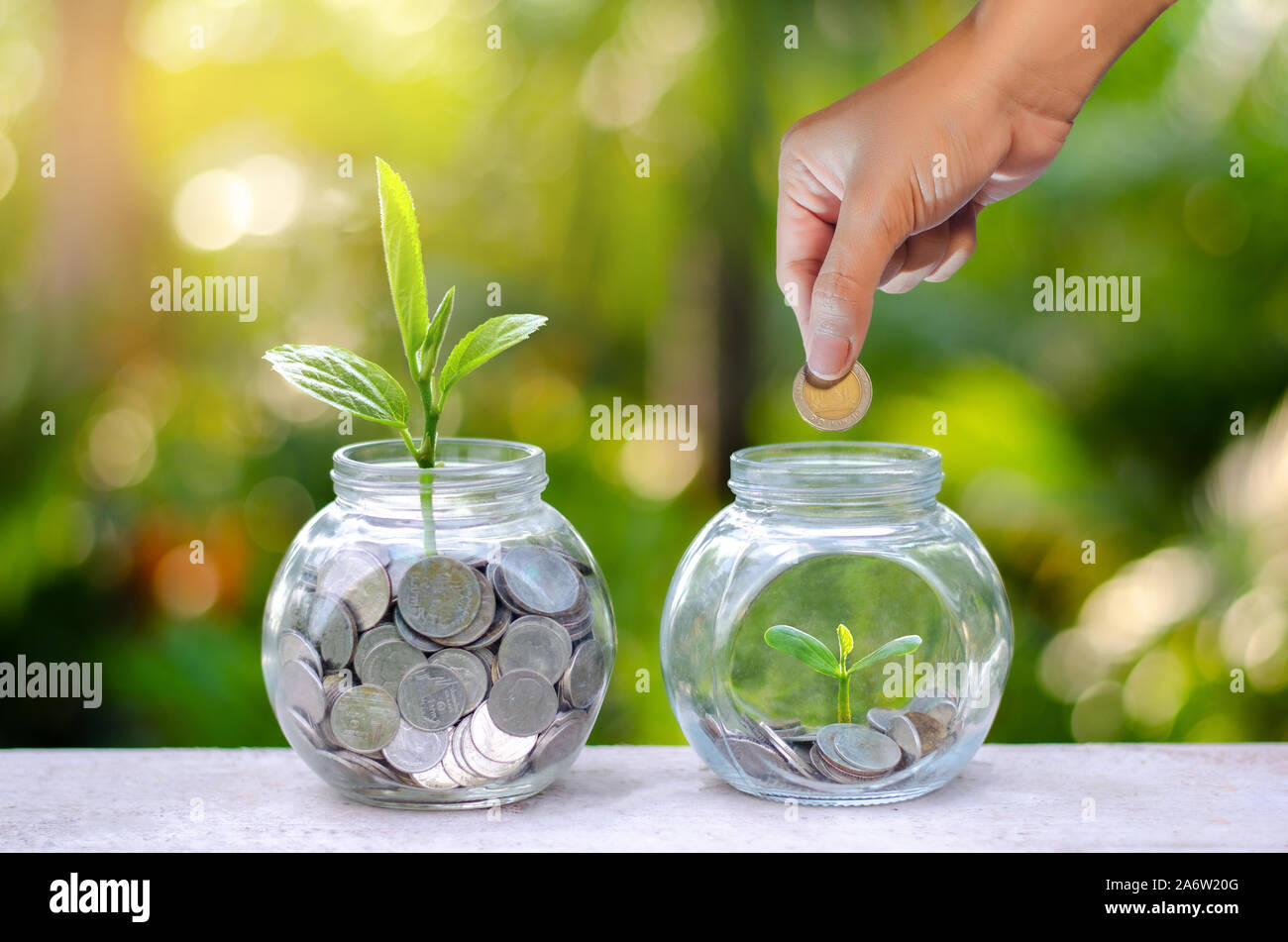 Coin tree Glass Jar Plant growing from coins outside the glass jar on ...