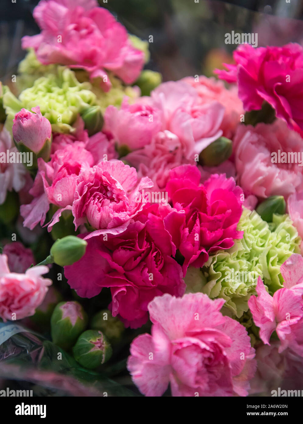 Flower display arrangement closeups Stock Photo - Alamy