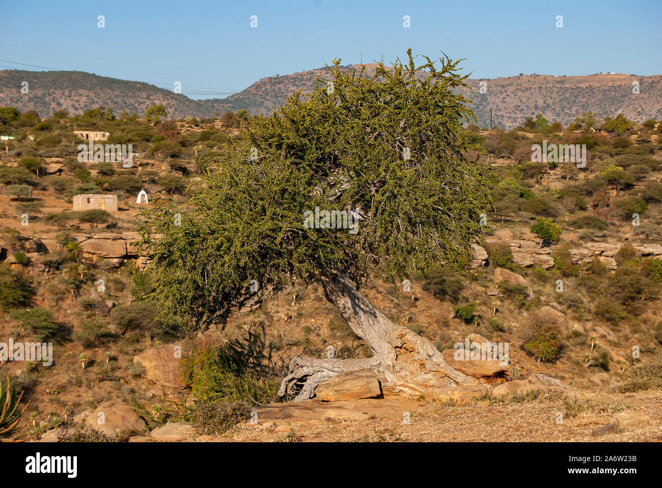 Scenery landscape nelspruit mpumalanga hi-res stock photography and ...