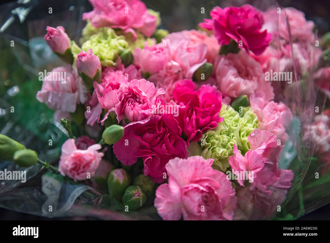 Flower display arrangement closeups Stock Photo - Alamy