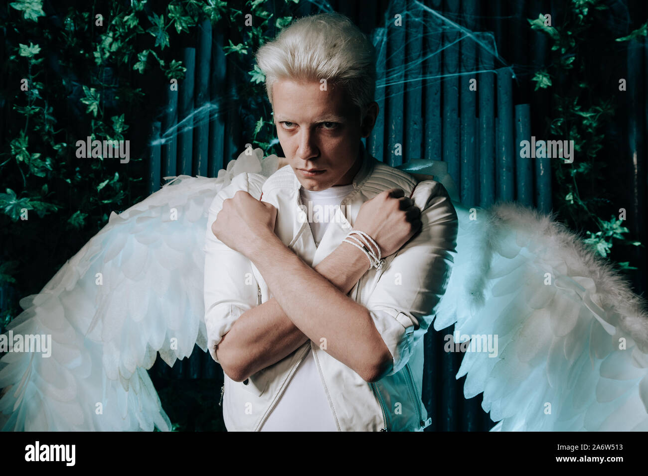 A portrait of a man with big feathered wings against a dark background ...