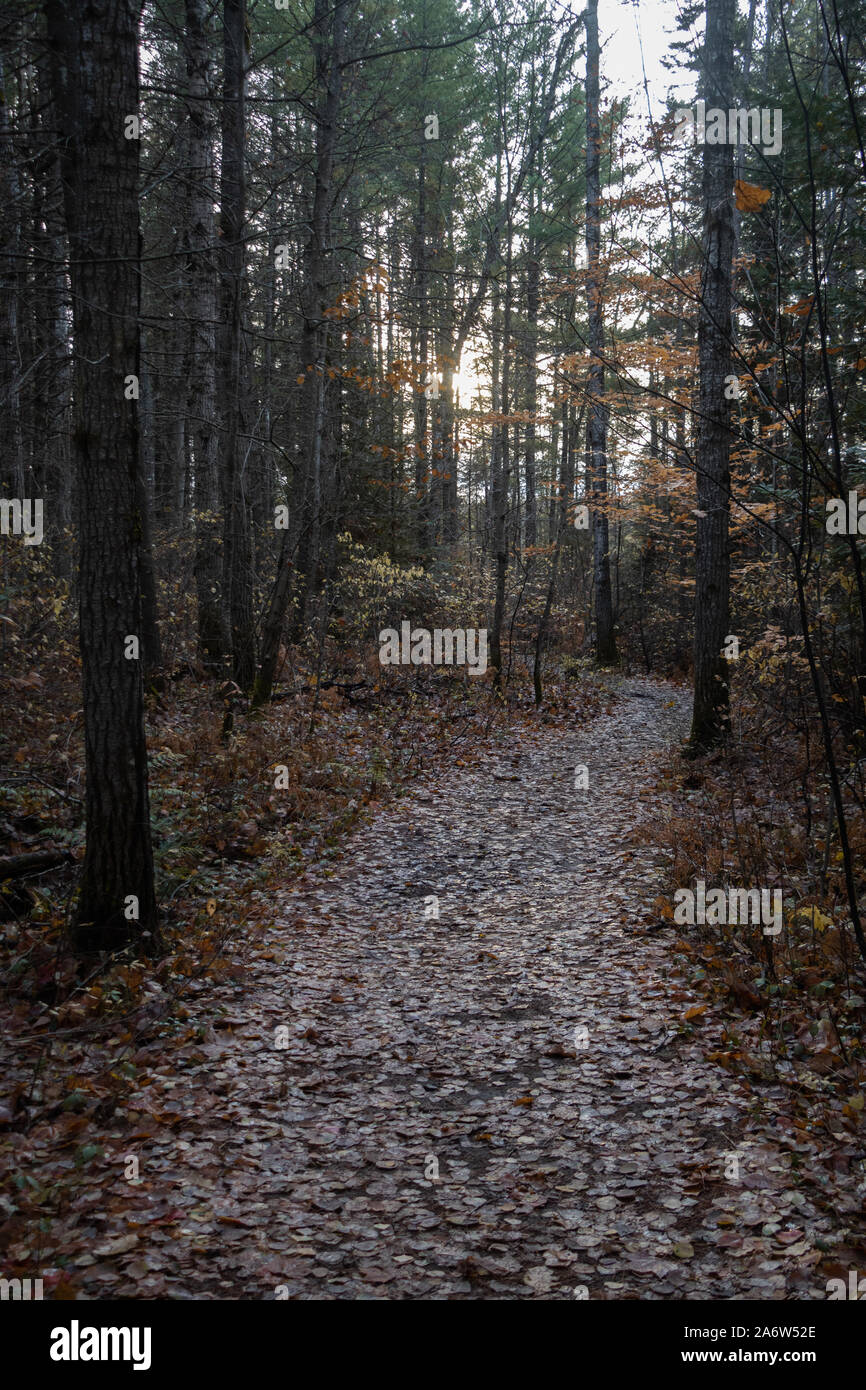 Fading light hi-res stock photography and images - Alamy